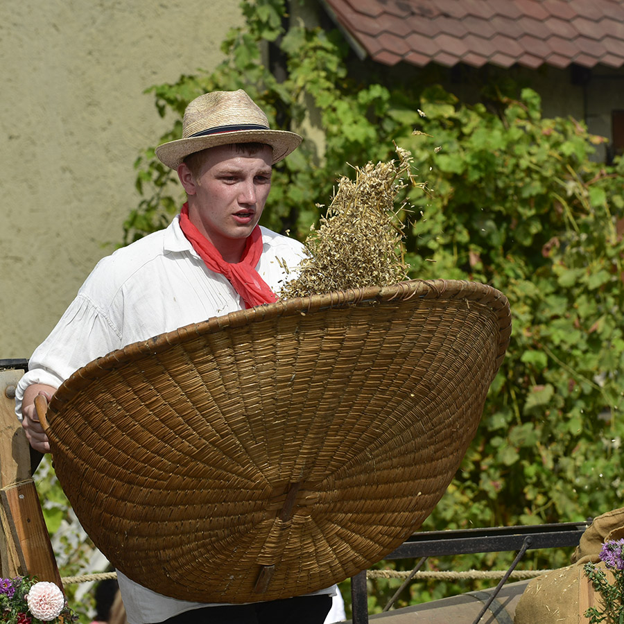 TERRE DE TRADITIONS – Alsace, Photos & Traditions